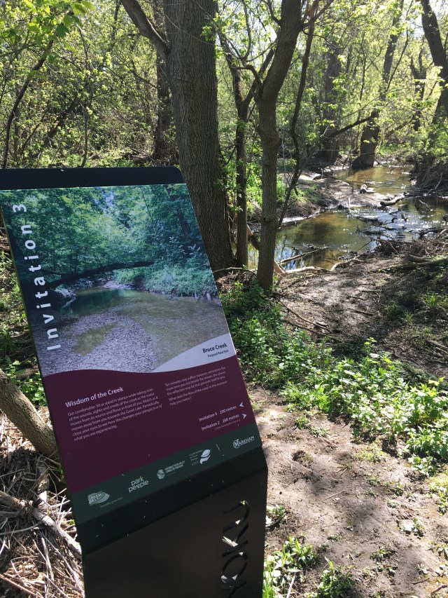 Forest Therapy – Thornhill Seniors Club